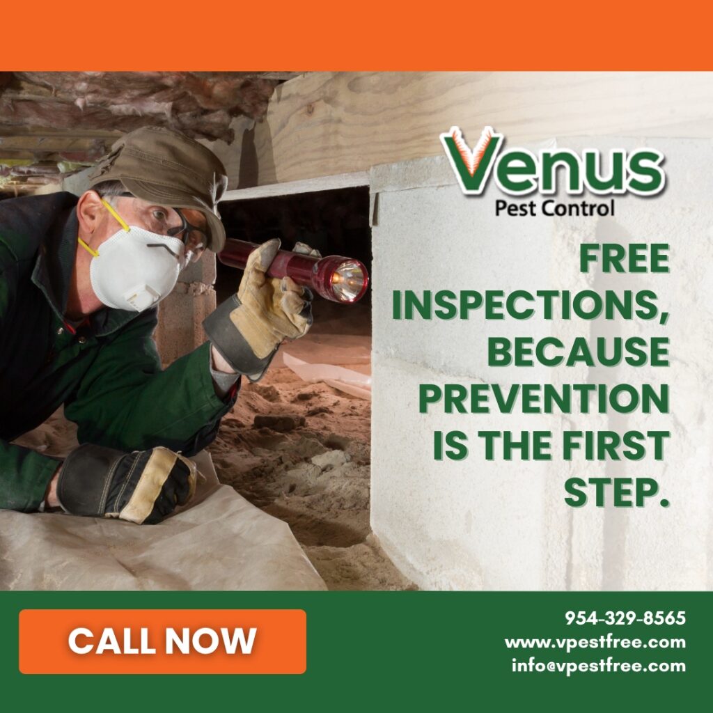 Spider Control Miami, FL | Venus Pest Control