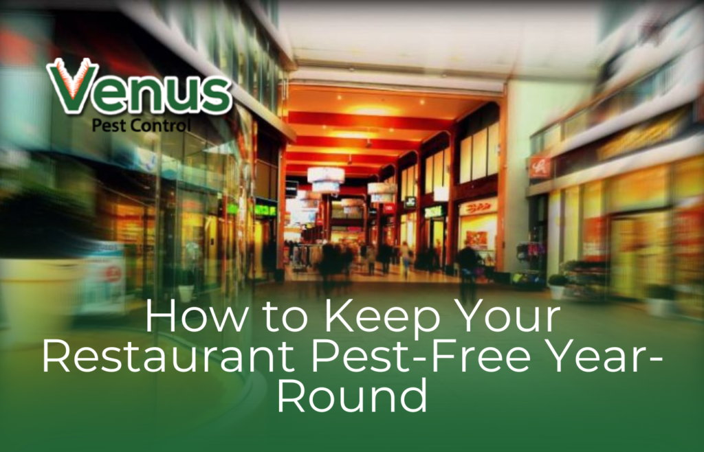 How to Keep Your Restaurant Pest-Free Year-Round | Venus Pest Control